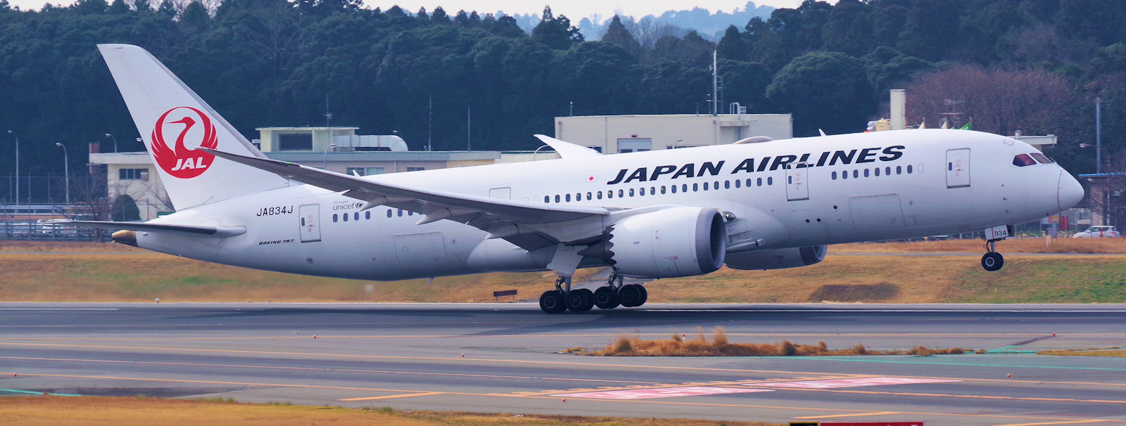 スーパーマーケット: 眠い人の植民地日記